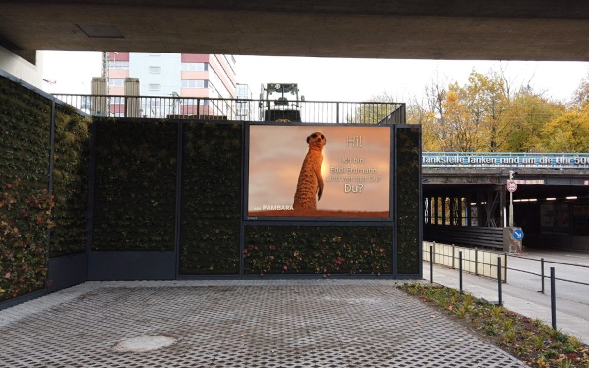 Pambara: Eddi Erdmann erobert die DooH-Screens | invidis